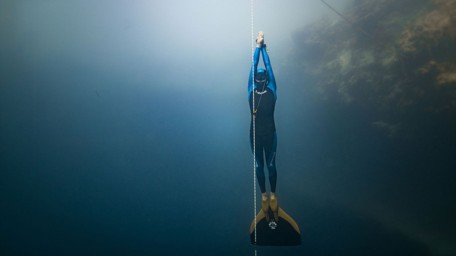Travel talks: Professional freediver Alex Davis shares his experiences ...
